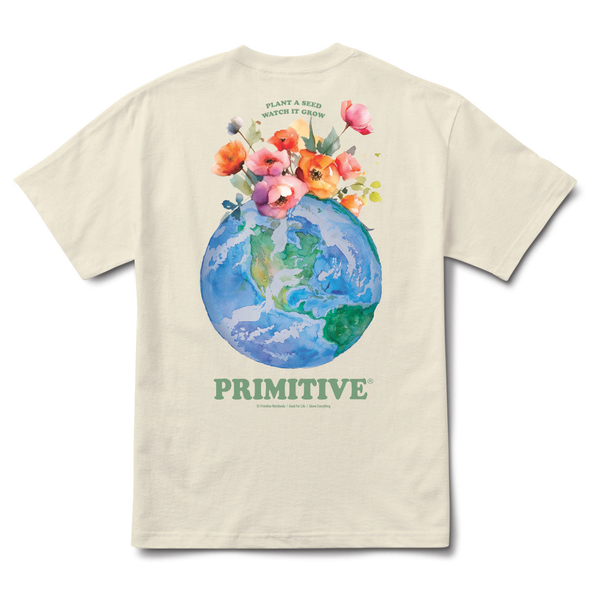 Primitive Skateboarding