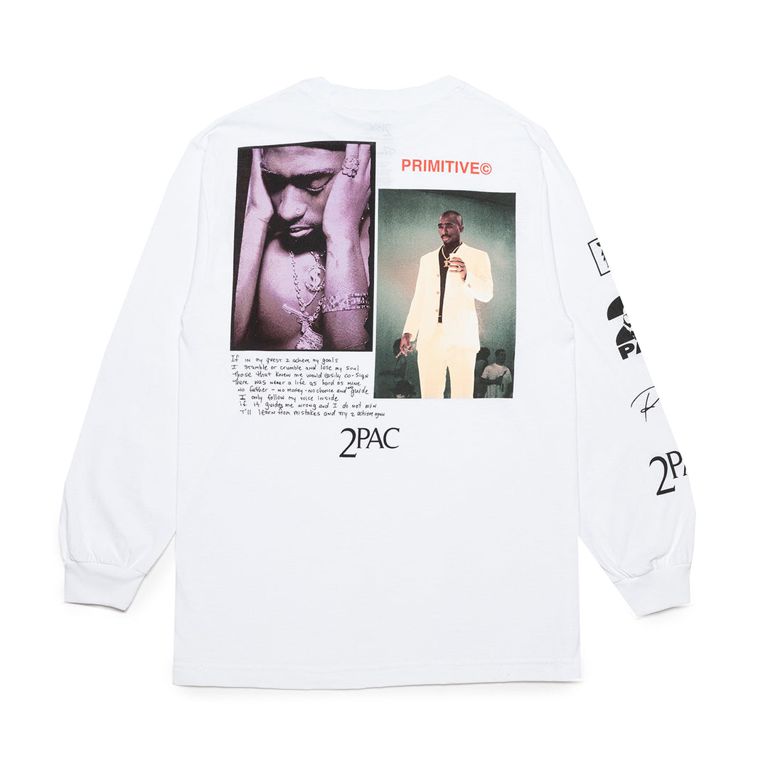 Primitive Skateboarding T-Shirts